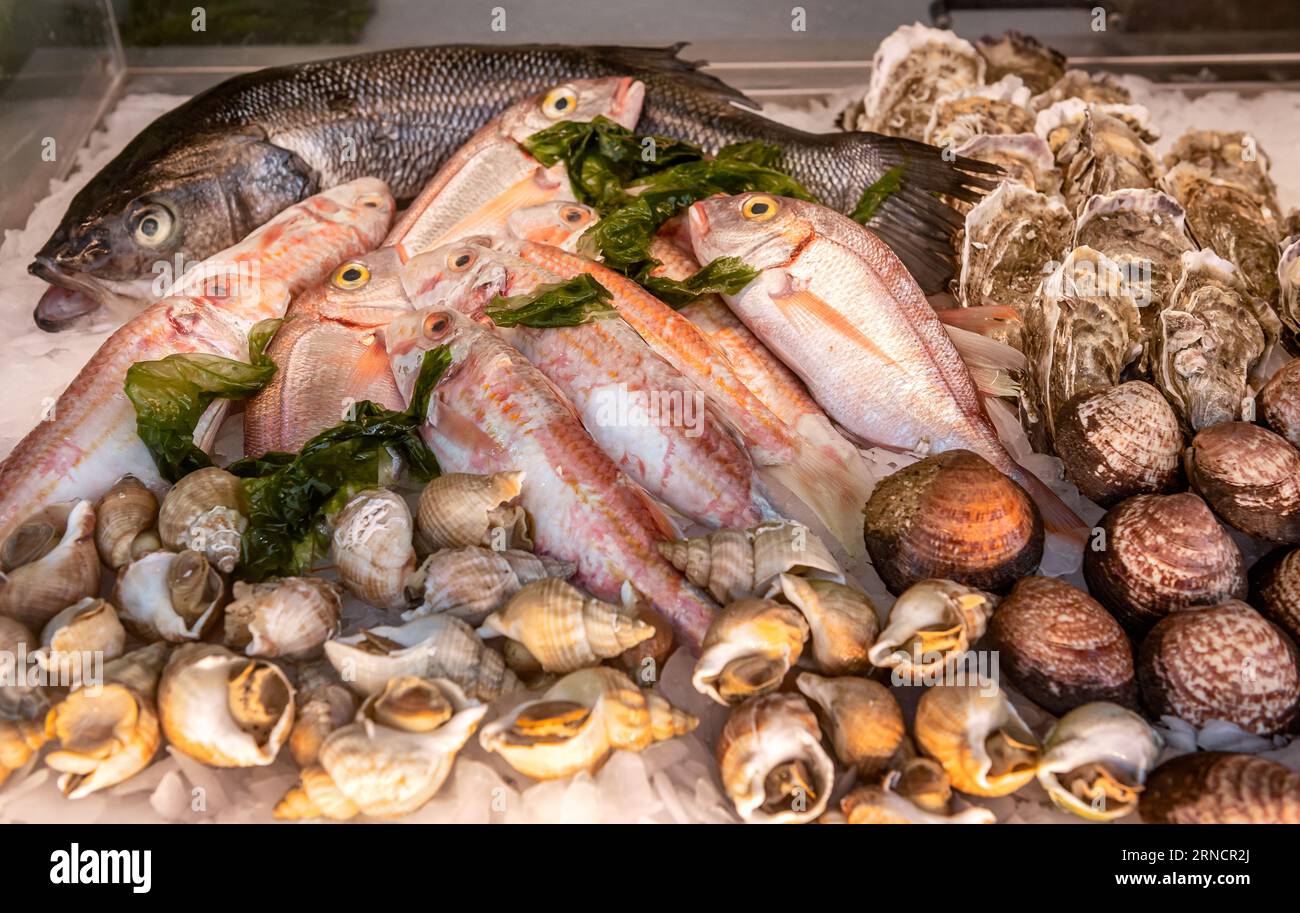 Seafood on ice at the fish market. Fish, shellfish, shrimp, squid, crab ...