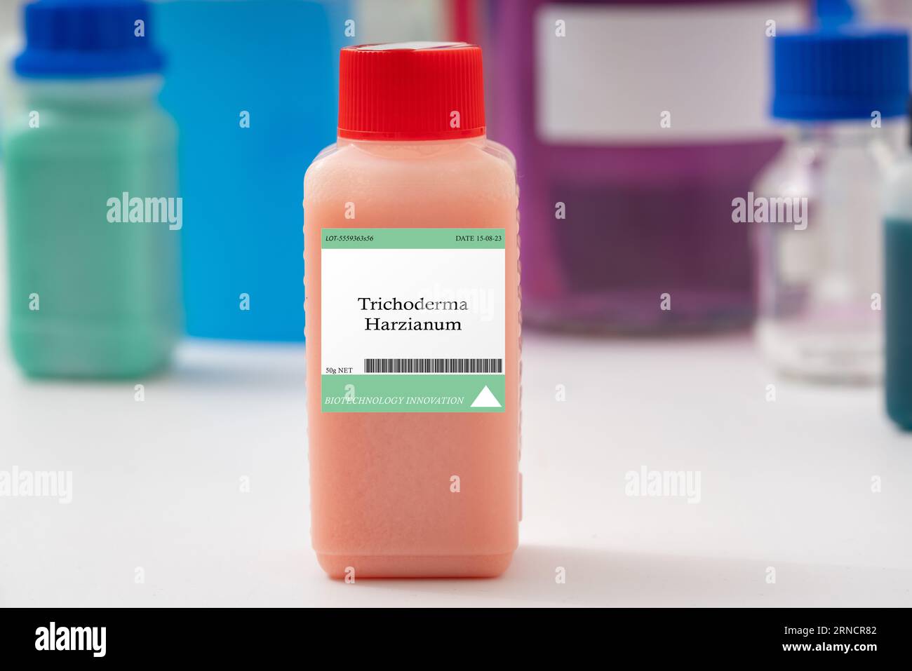 Trichoderma harzianum fungus Used for enzyme production and biocontrol ...