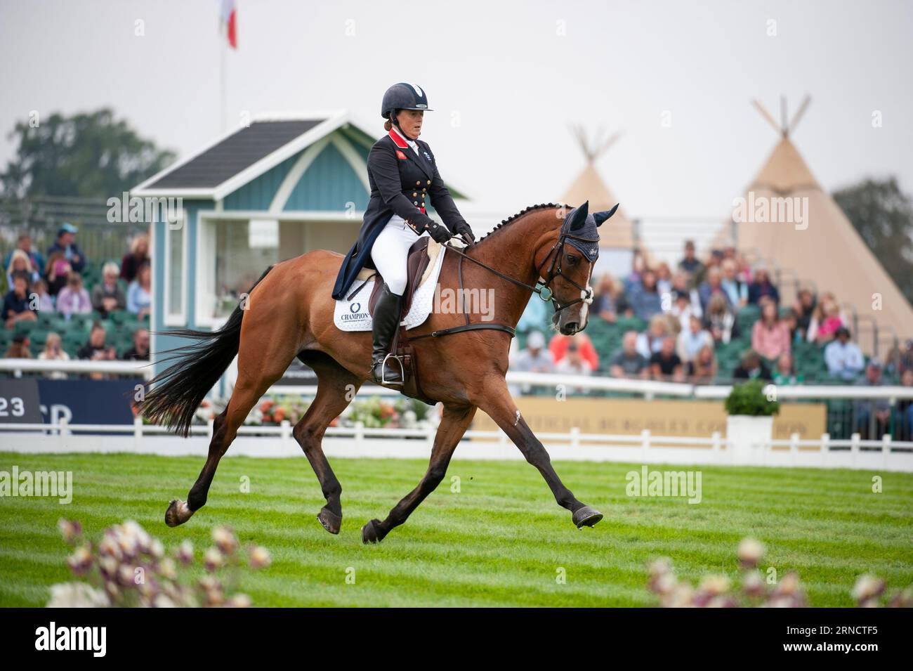 Stamford, UK. 1st Sep, 2023. Pippa Funnell riding Majas Hope ...