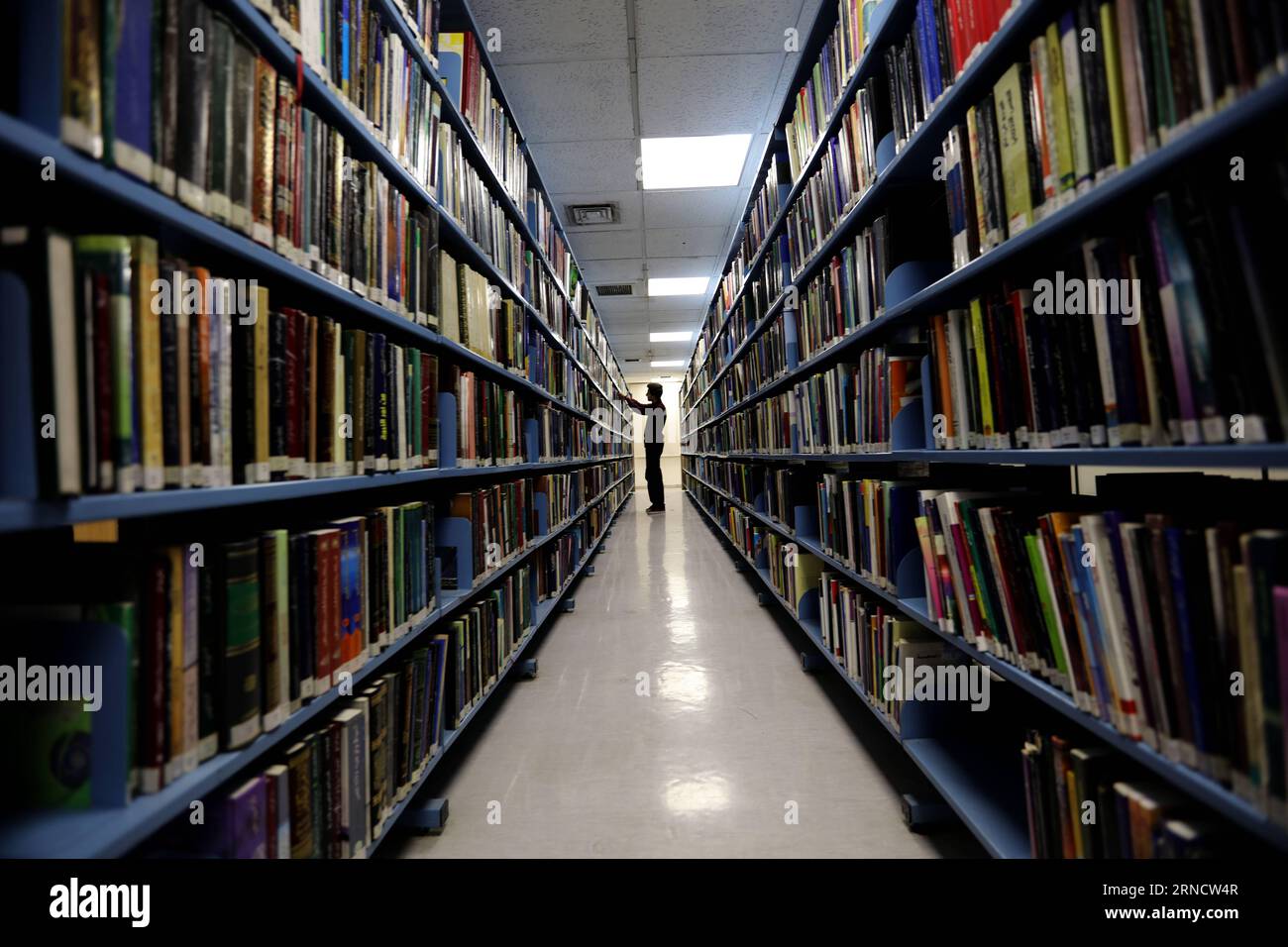 CAIRO, -- A Jordanian student searches for books at Abdul Hameed Shoman ...
