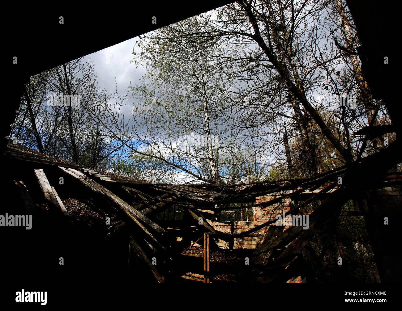 CHERNOBYL, April 19, 2016 -- Photo taken on April 19, 2016 shows ...