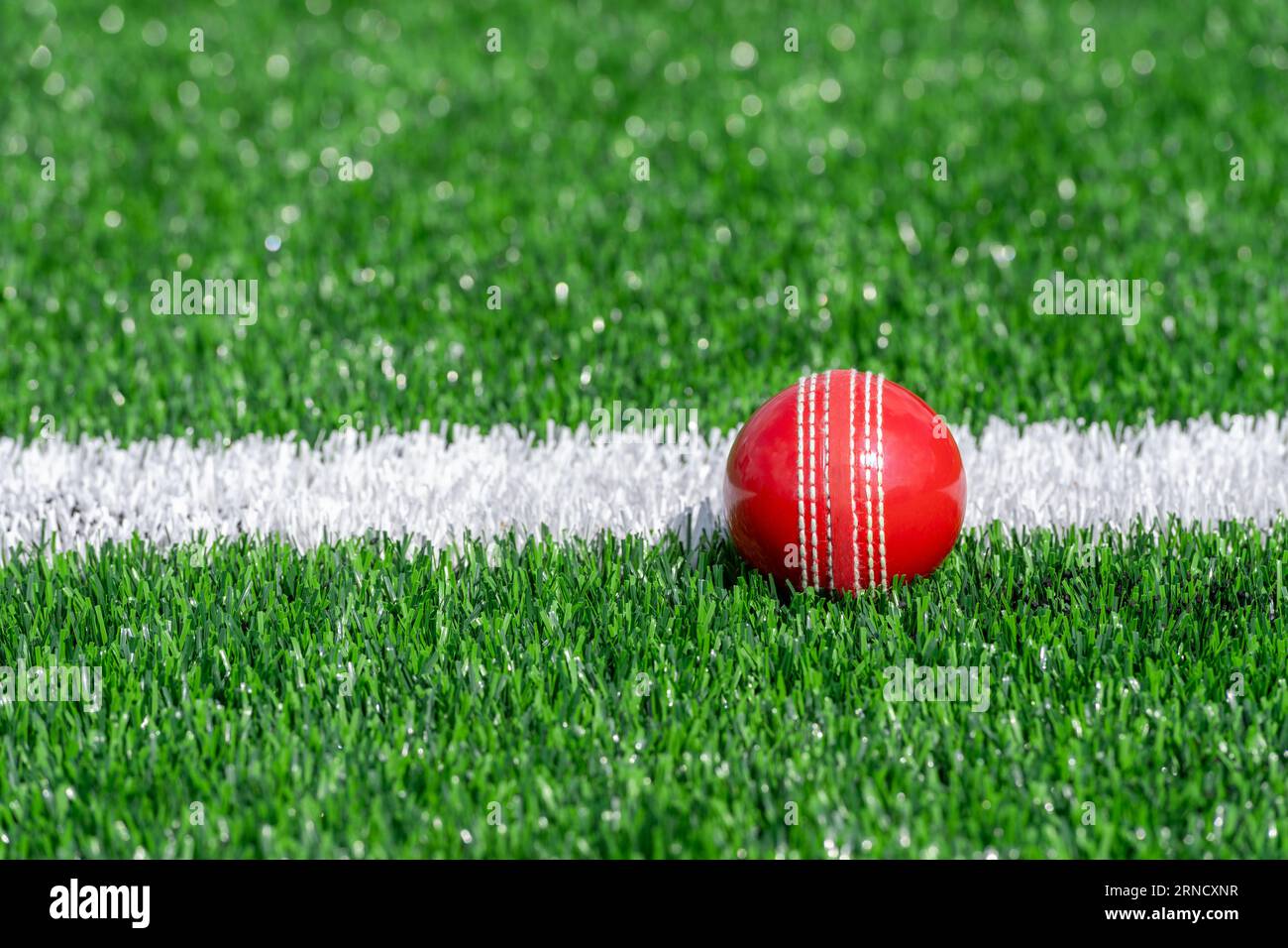 Cricket red ball with natural lighting on green grass. Horizontal sport ...