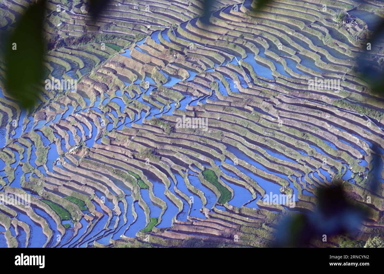 (160426) -- HONGHE, April 26, 2016 -- Photo taken on April 26, 2016 ...