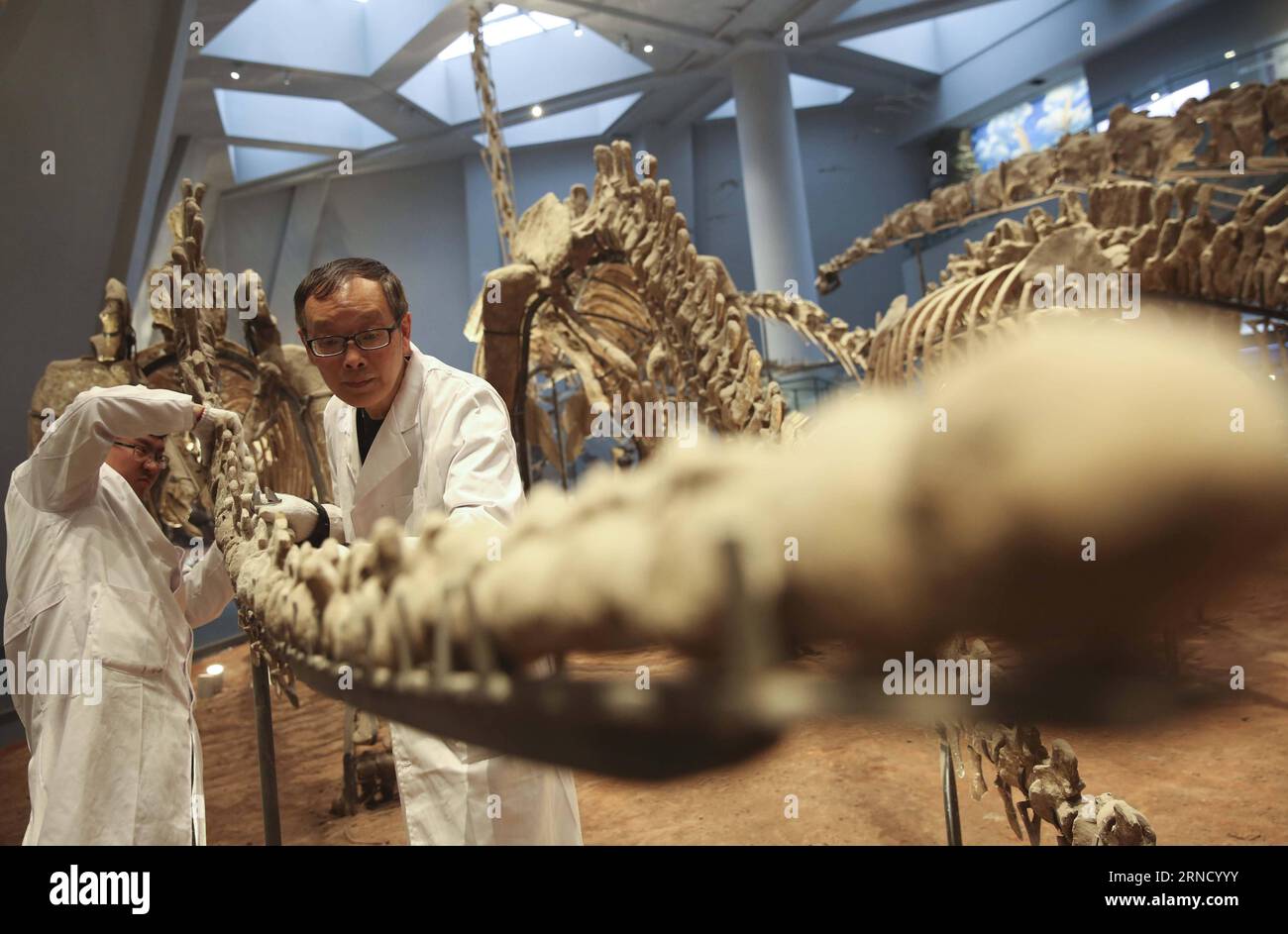 CHONGQING, April 25, 2016 -- Researcher Song Zhongwei (R) checks ...