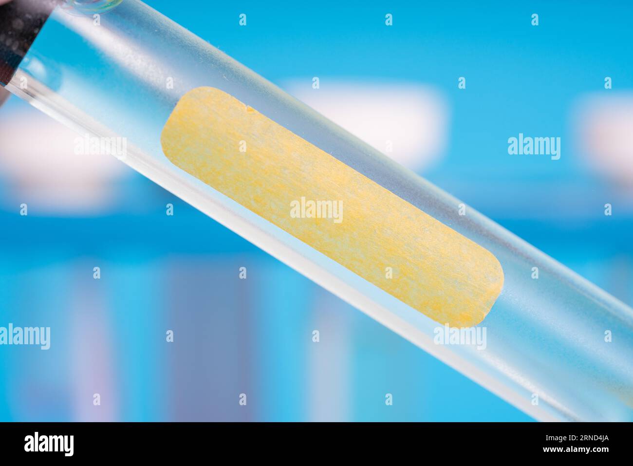 Test tube for chemical analysis in scientific laboratory Stock Photo ...