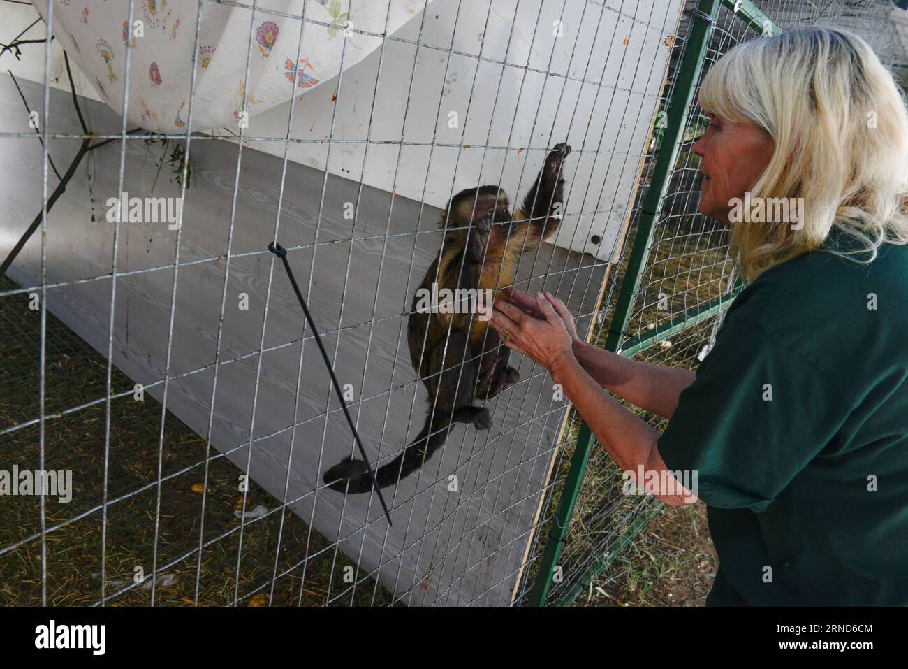 Ipr center hi-res stock photography and images - Alamy