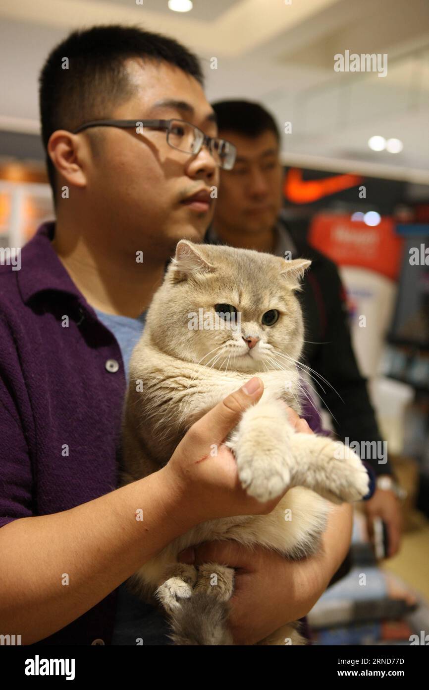 Wcf cat hi-res stock photography and images - Alamy