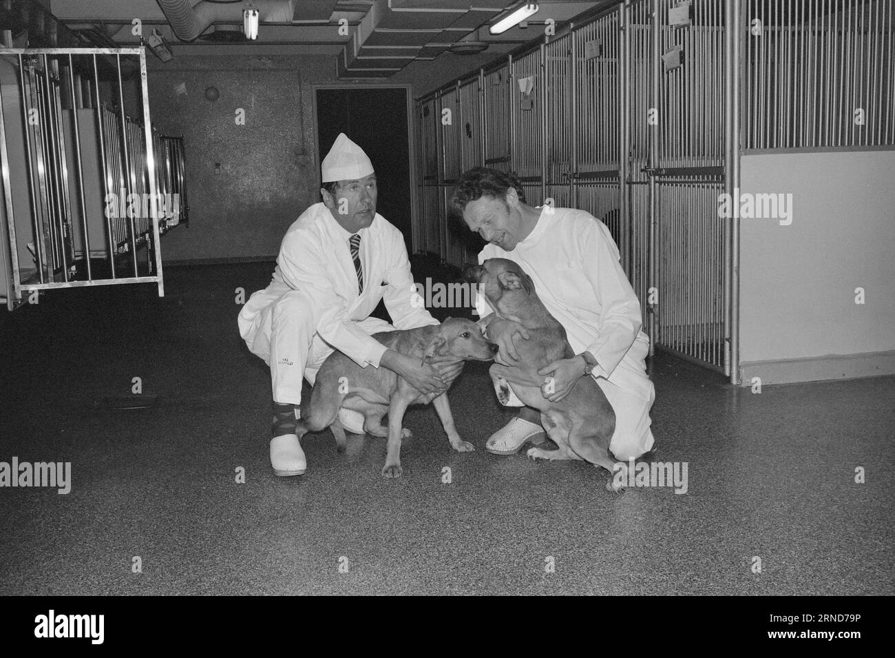 Laboratory insight Black and White Stock Photos & Images - Alamy