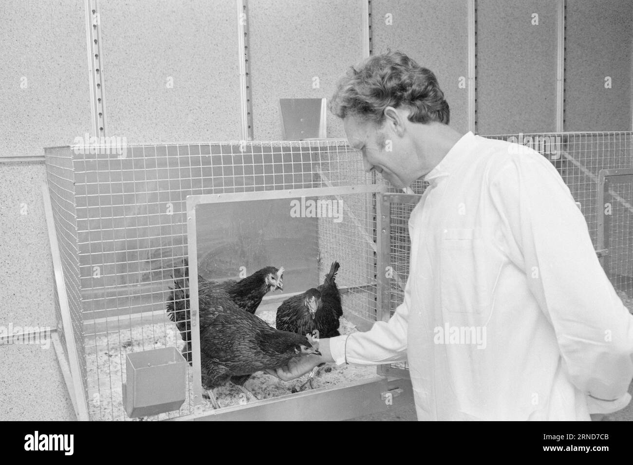 Animal testing rabbits hi-res stock photography and images - Alamy