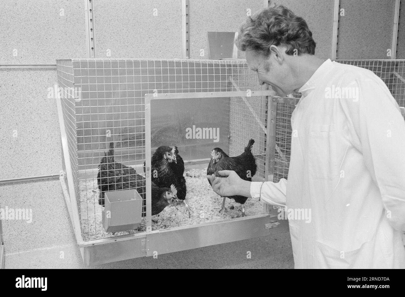 Animal testing rabbits hi-res stock photography and images - Alamy