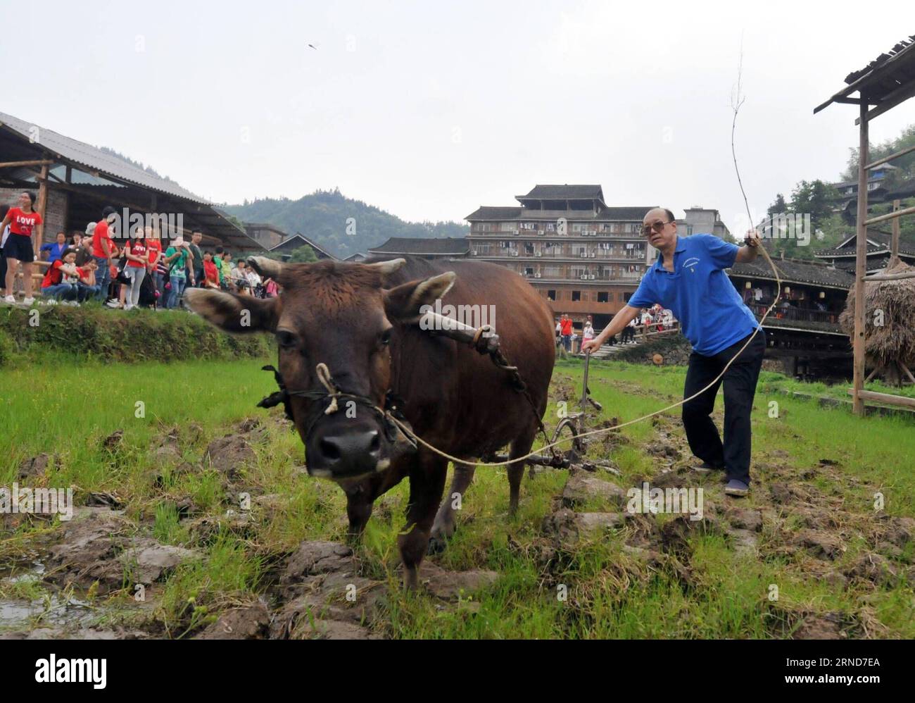 Plowing display hi-res stock photography and images - Alamy