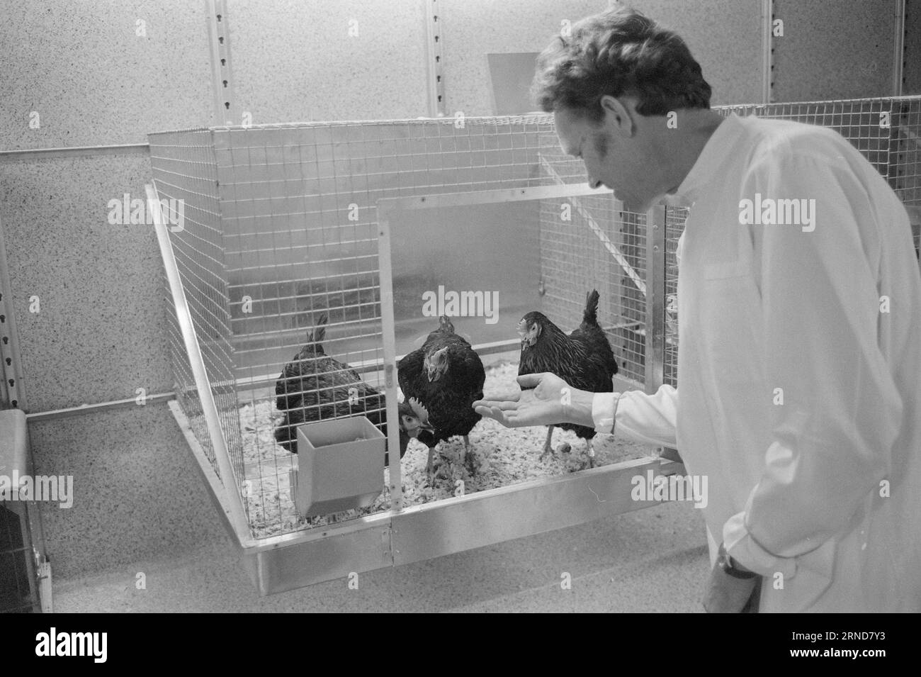 Animal testing rabbits hi-res stock photography and images - Alamy