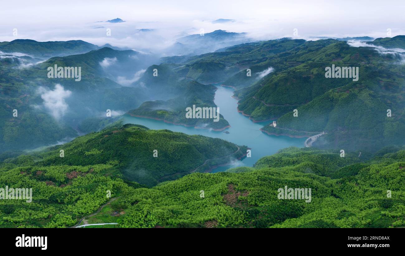 Fujian province tea plantation hi-res stock photography and images - Alamy