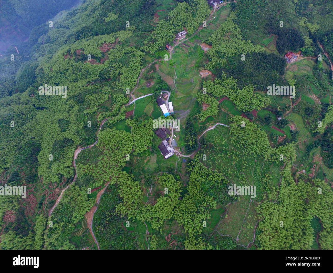 Fujian province tea plantation hi-res stock photography and images - Alamy