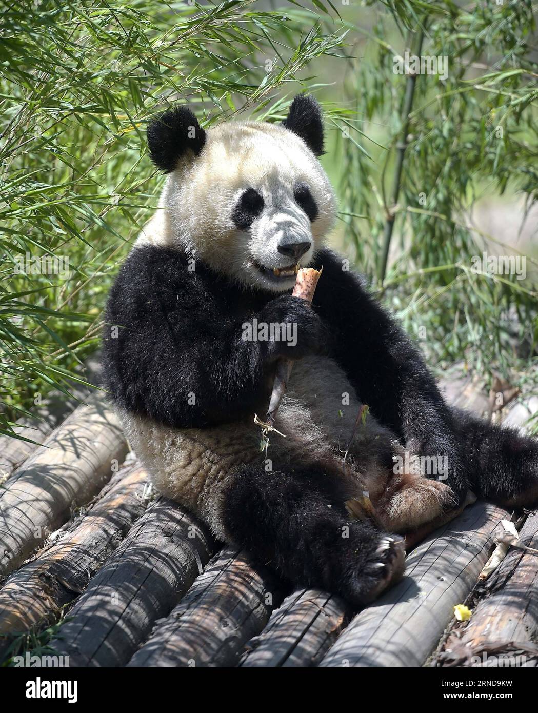 Andscientific hi-res stock photography and images - Alamy