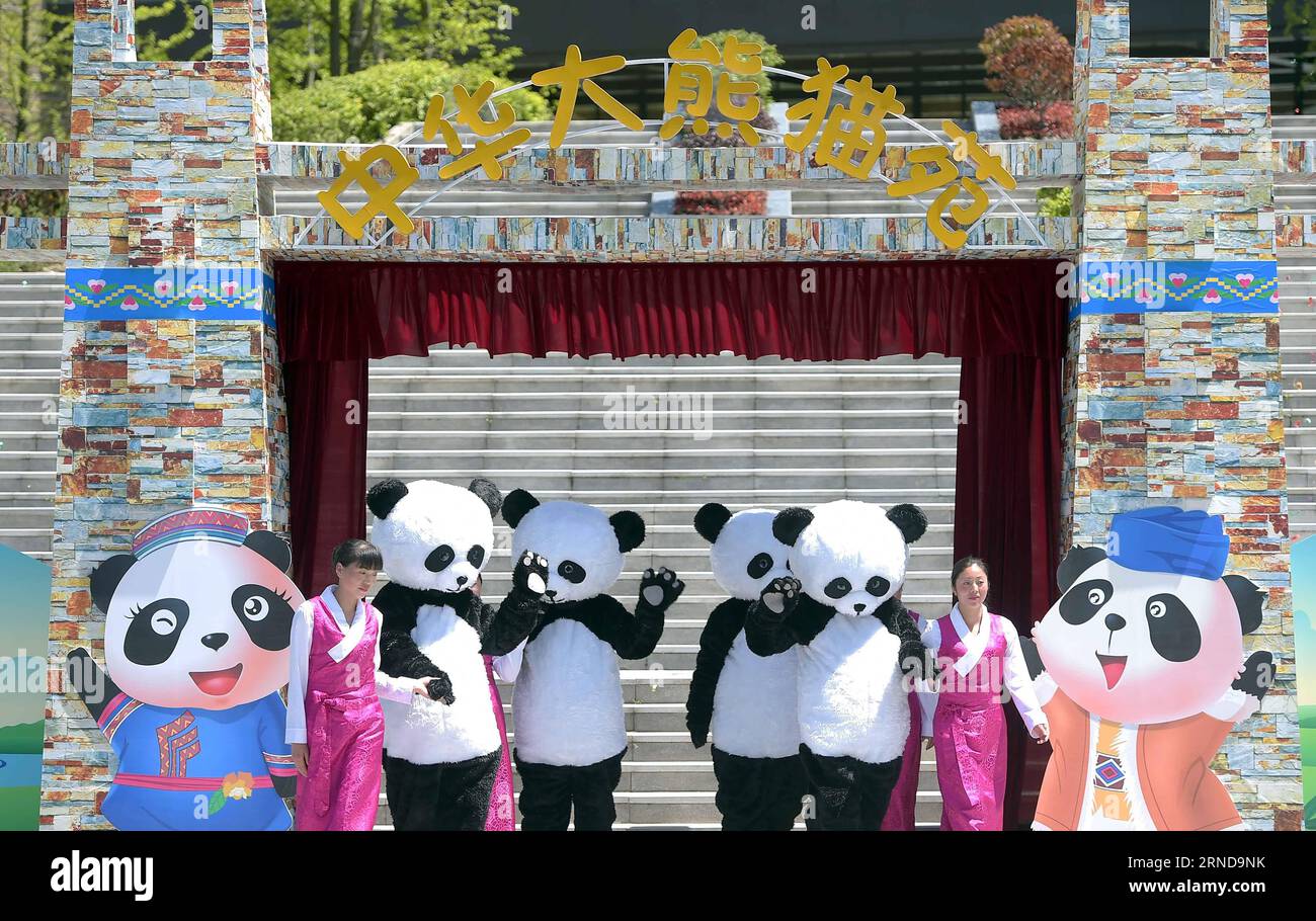 Panda schutz zentrum hi-res stock photography and images - Alamy