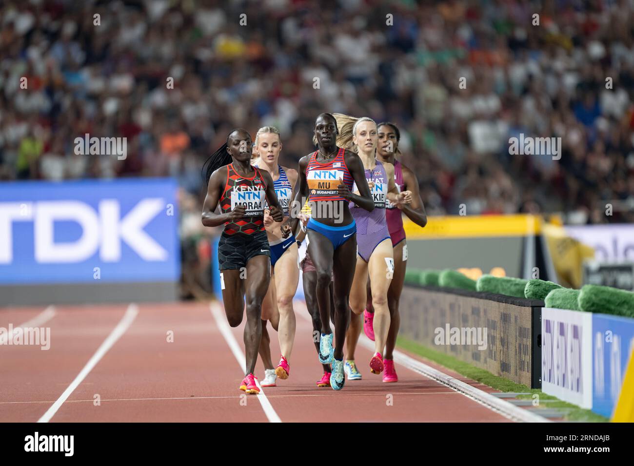 Athing mu budapest 2023 hi-res stock photography and images - Alamy