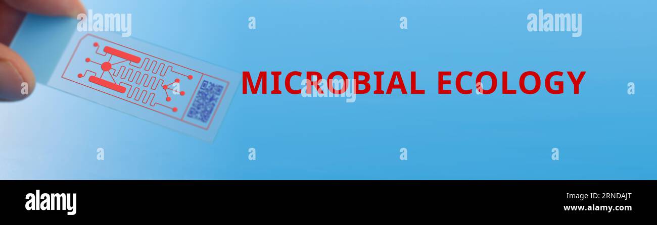 Microbial ecology: Development of microfluidic devices for studying ...