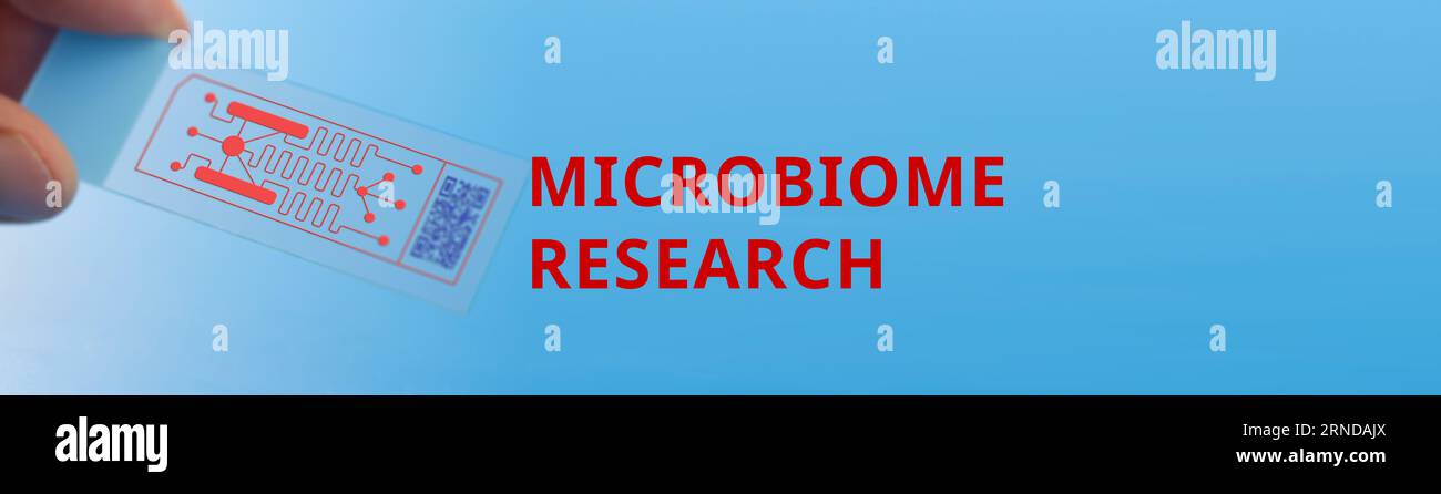 Microbiome research: Miniaturized platforms for studying the microbiome ...