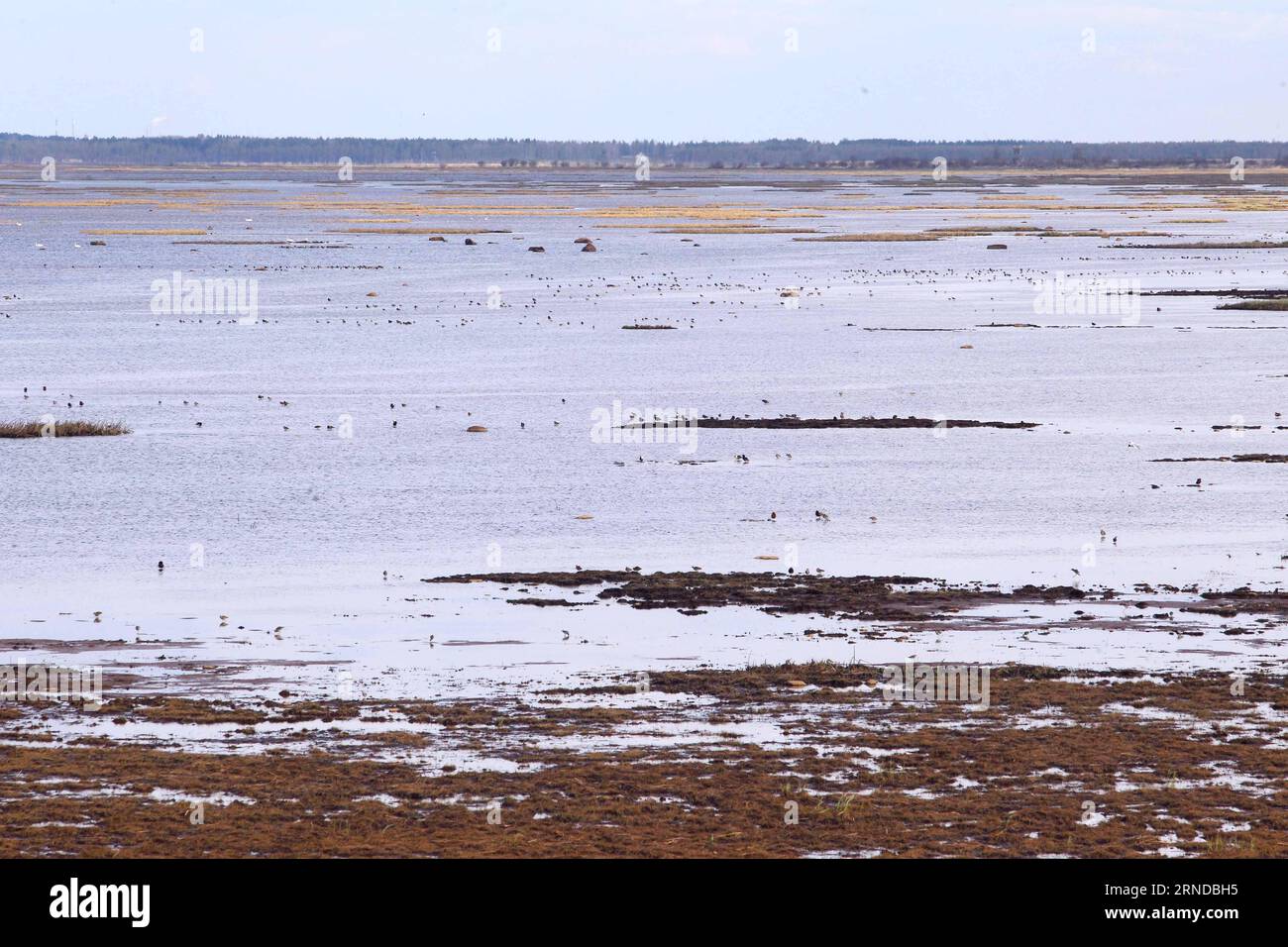 Valuable habitats hi-res stock photography and images - Alamy