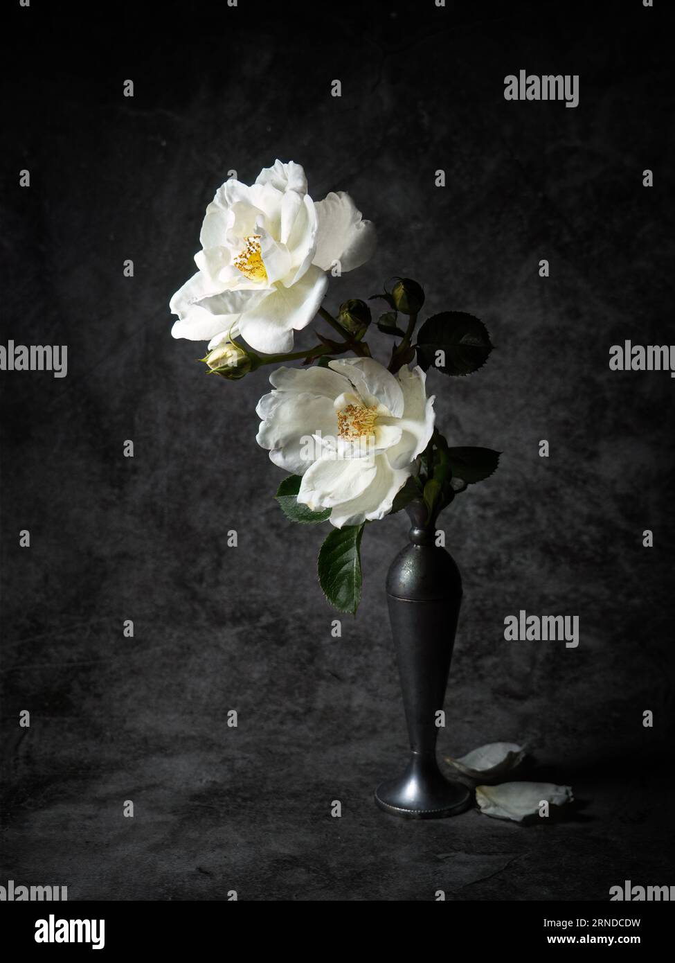 A fallen vase hi-res stock photography and images - Alamy