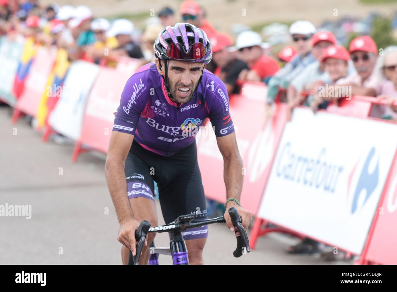 Veteran Dani Navarro Burgos BH Stock Photo - Alamy
