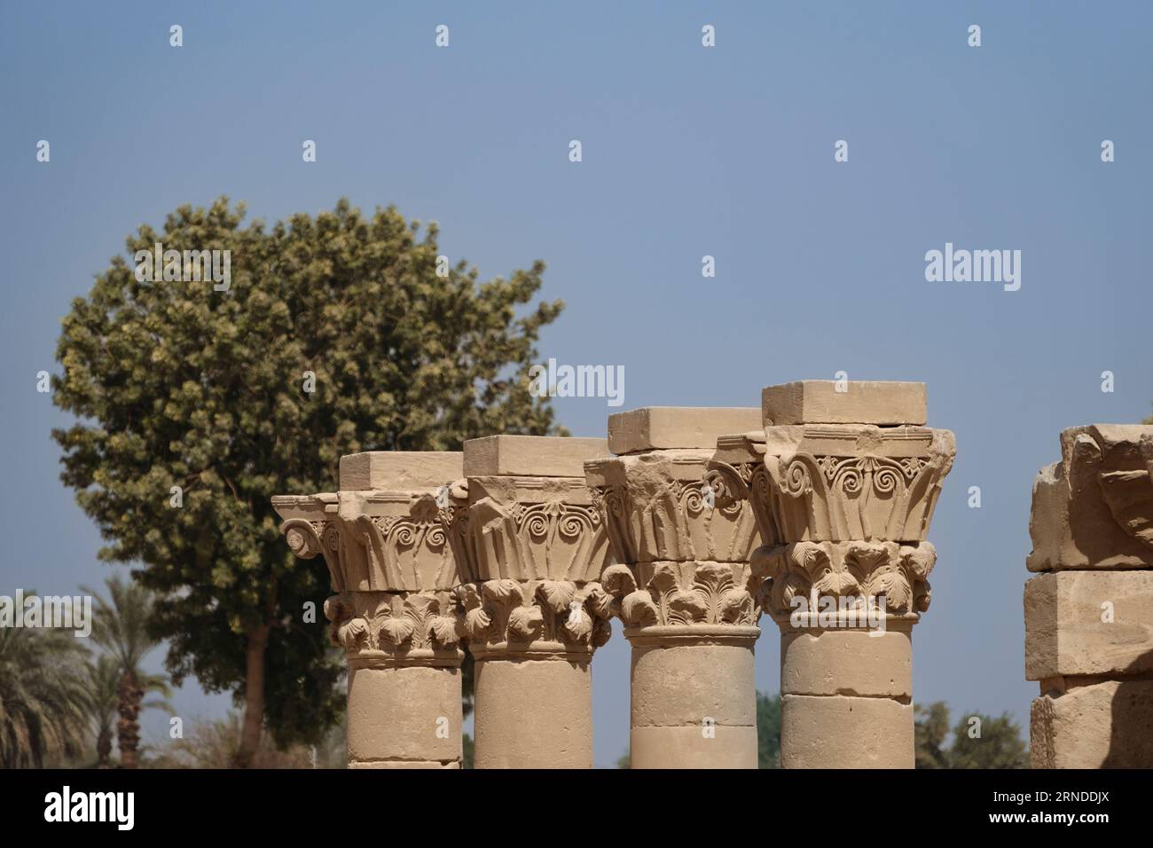 Decorated column capitals at the Temple of Hathor at Dendera, Nile ...