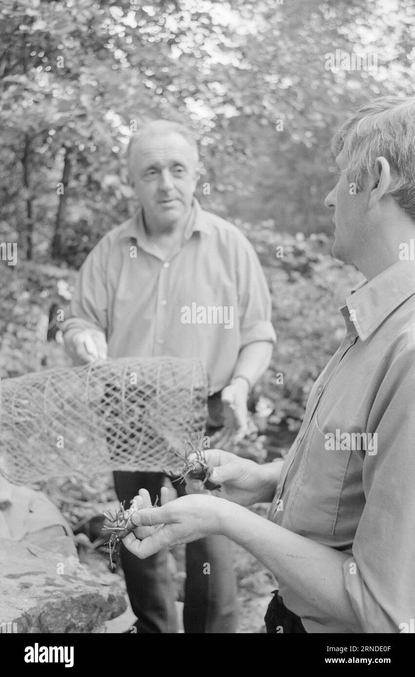 Crayfish plague disease hi-res stock photography and images - Alamy