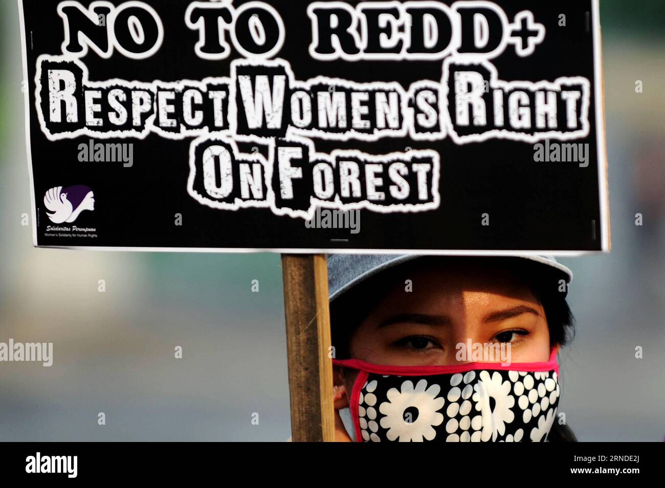 Anti deforestation hi-res stock photography and images - Alamy