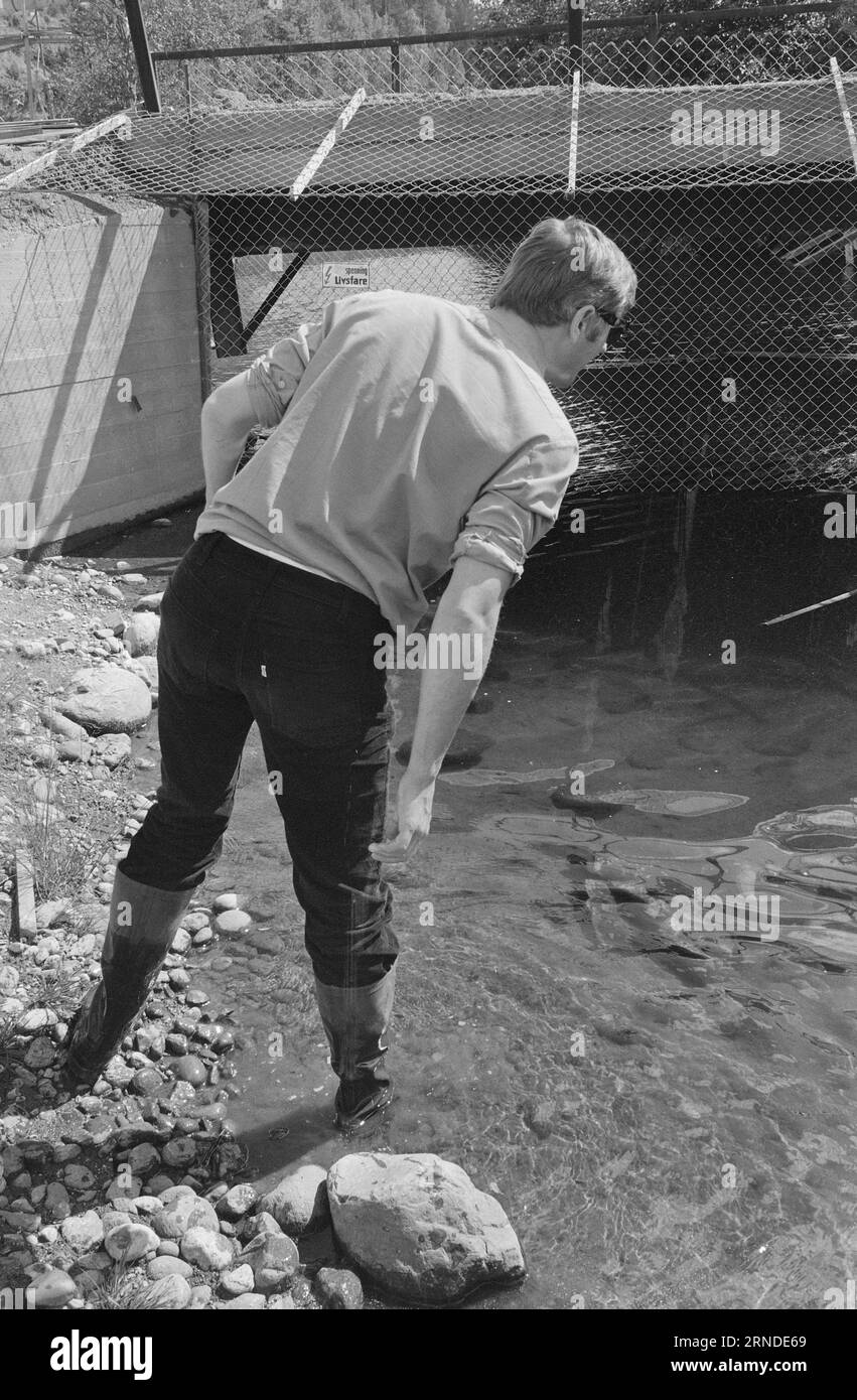 Crayfish plague disease hi-res stock photography and images - Alamy