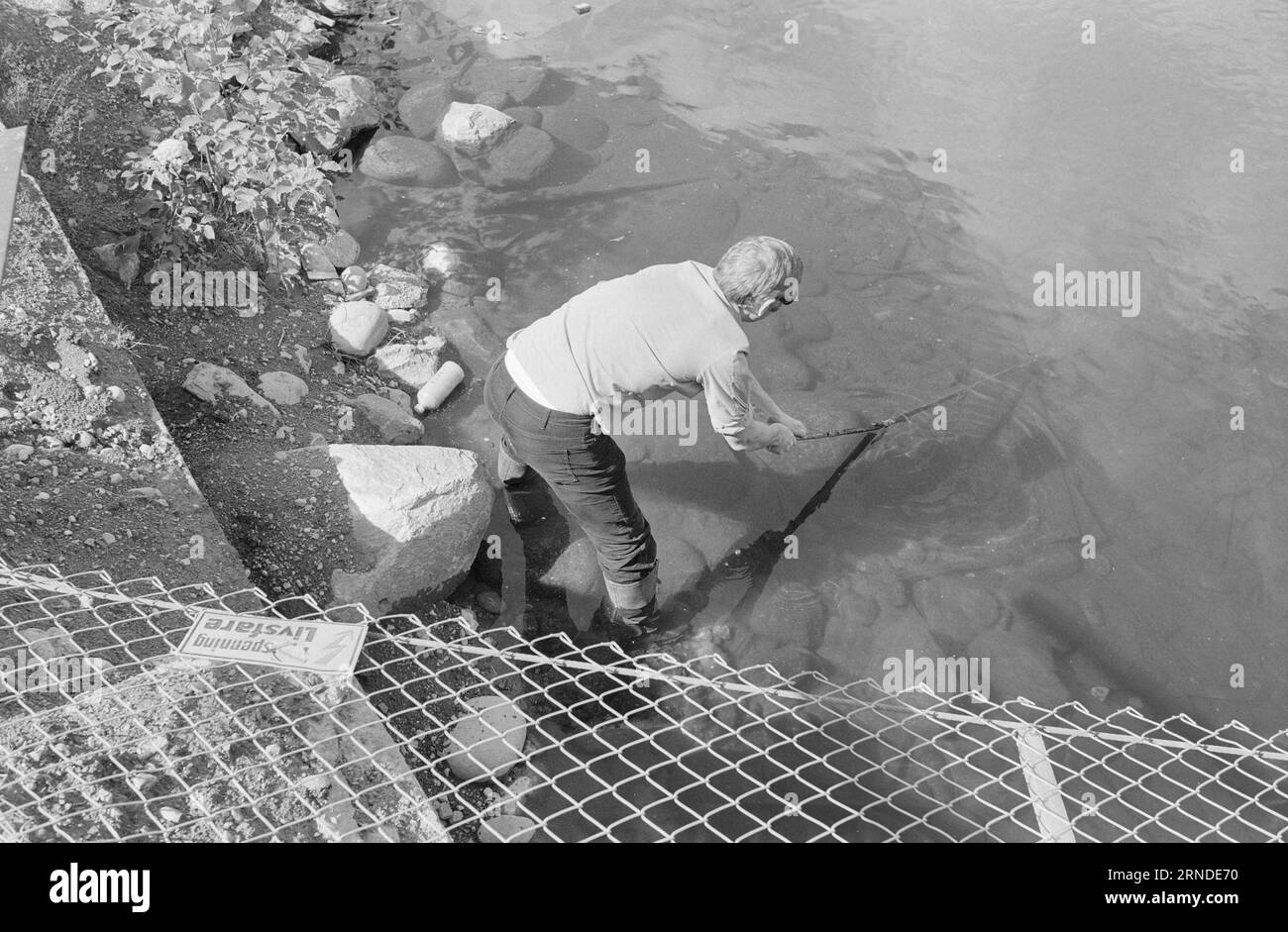 Crayfish plague disease hi-res stock photography and images - Alamy