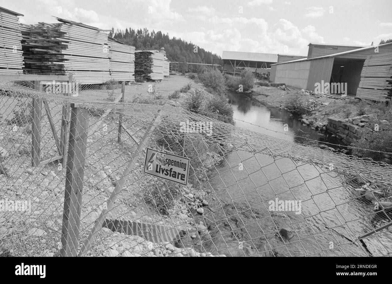 Crayfish plague disease hi-res stock photography and images - Alamy