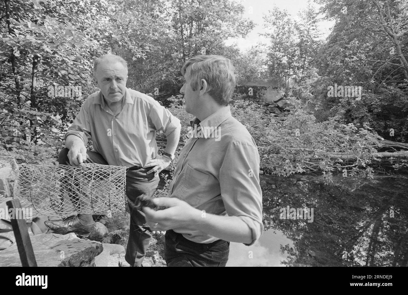 Crayfish plague disease hi-res stock photography and images - Alamy