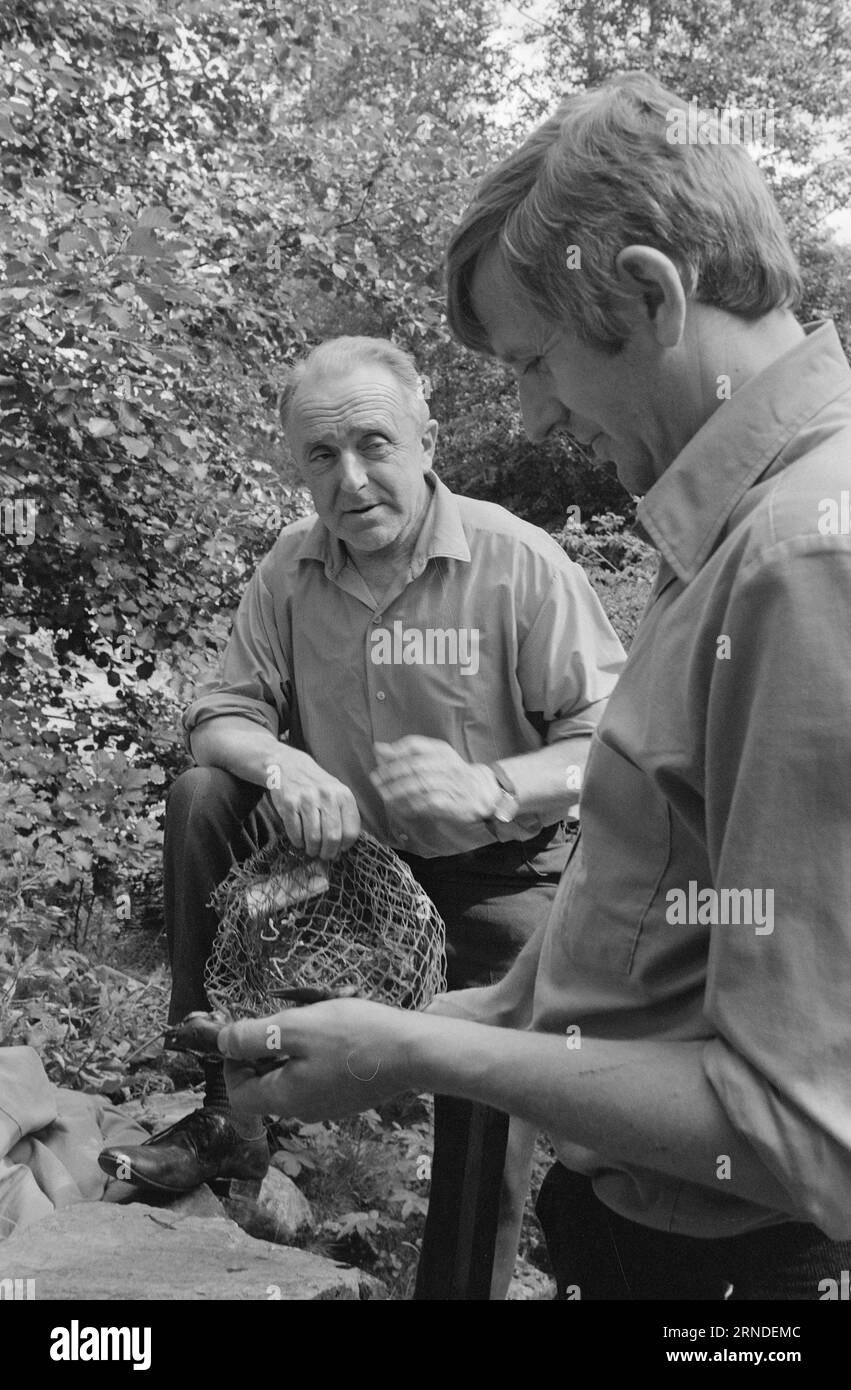 Actual 31 - 2 - 1974: The plague is loose - in ElveneThe crayfish ...