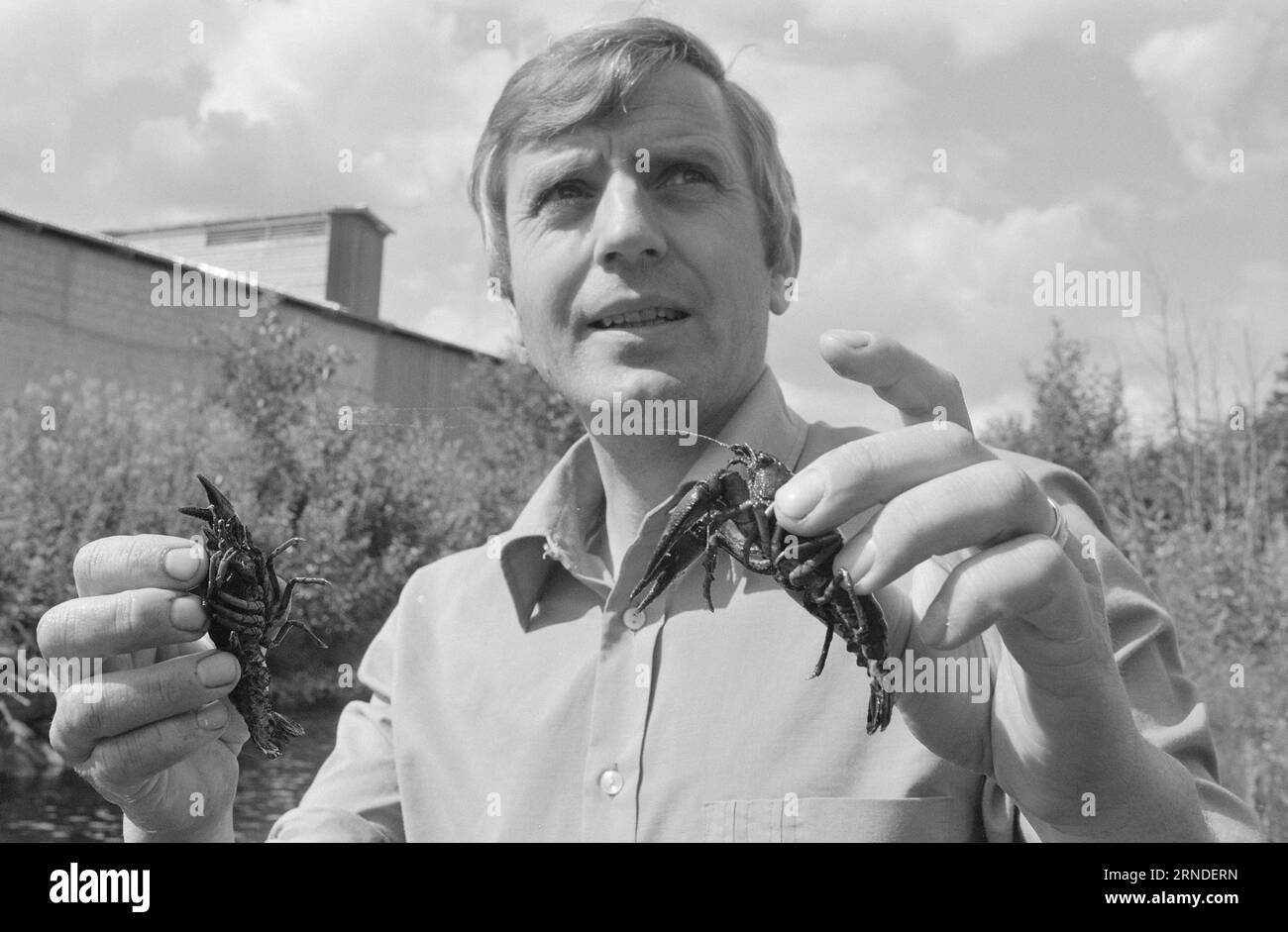 Crayfish plague disease hi-res stock photography and images - Alamy