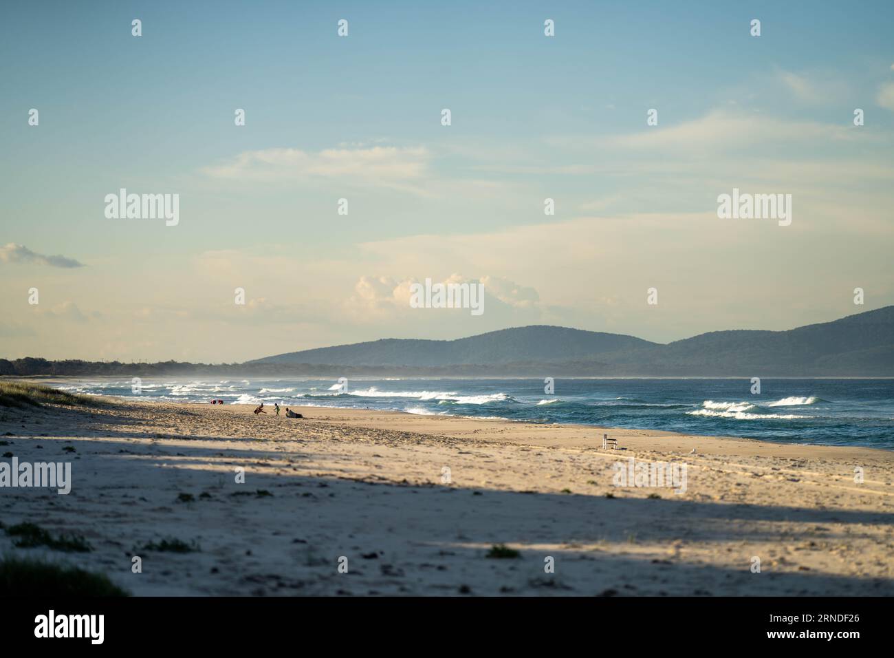 white sand beautiful australian beach in springtime in queensland at ...