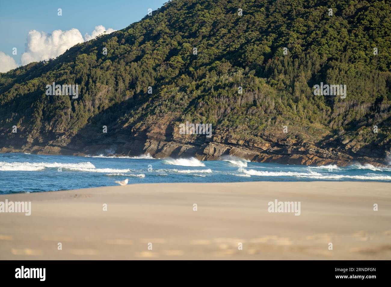 white sand beautiful australian beach in springtime in queensland at ...