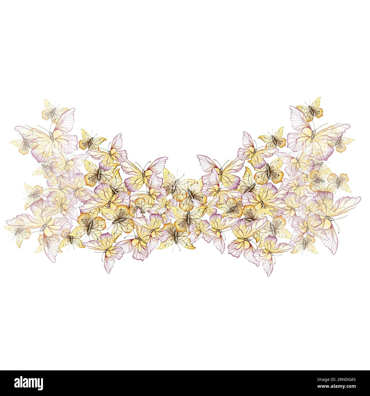 Composition from butterflies for cards,backgrounds. Watercolor ...