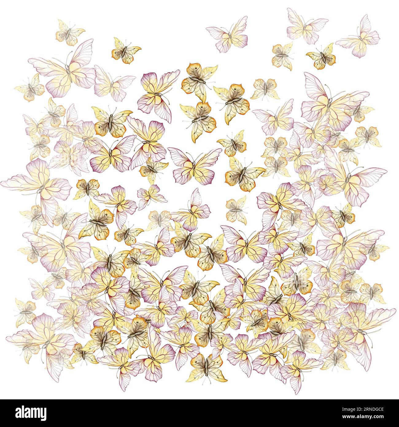 Composition from butterflies for cards,backgrounds. Watercolor ...