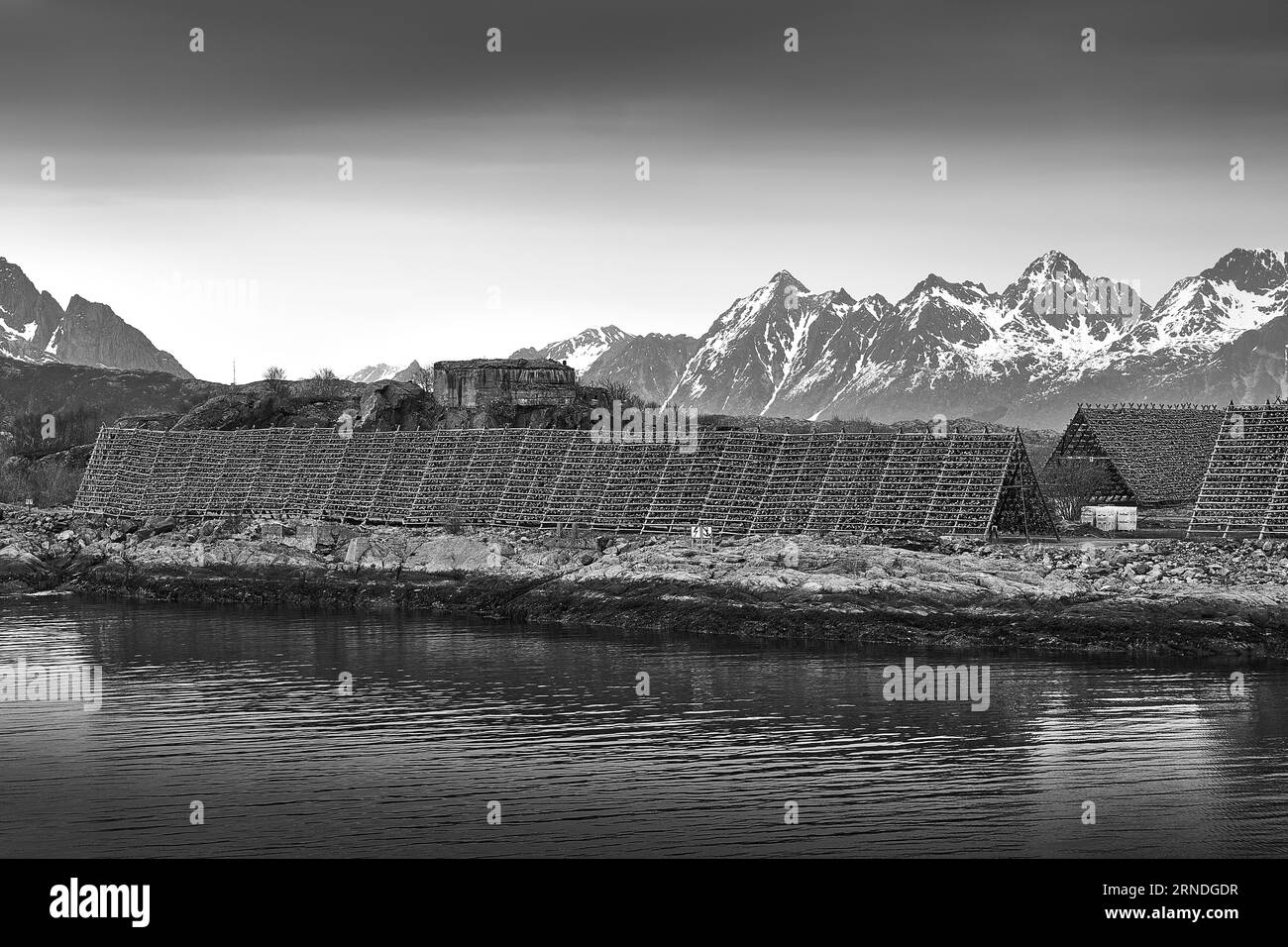 Black And White Photo Of Fish Flakes (Hjell) Covered With Dried Fish ...