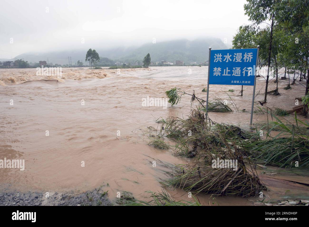 (160520) -- HECHI, May 20, 2016 -- Photo taken on May 20, 2016 shows ...