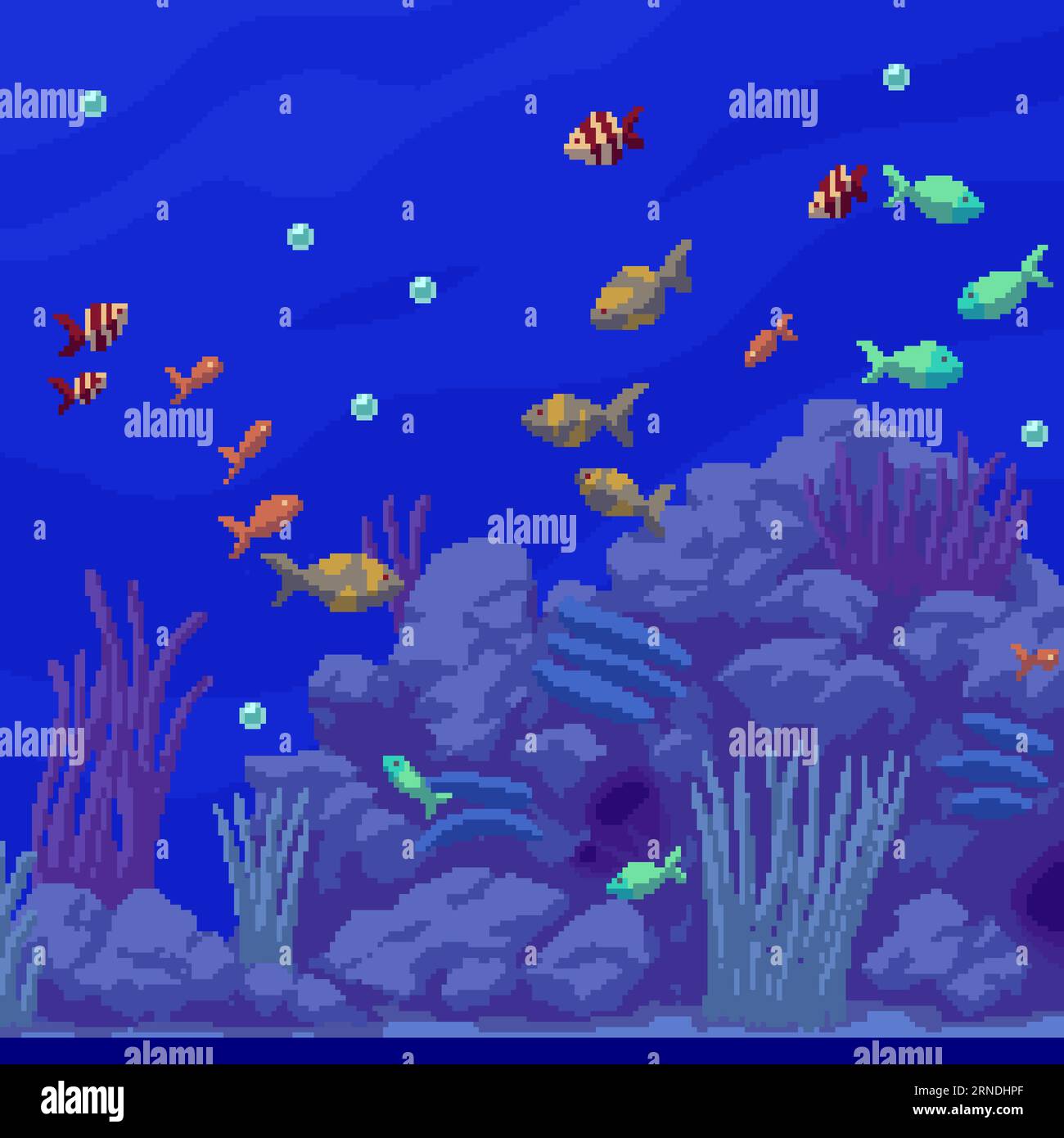 Rock aquarium Stock Vector Images - Alamy