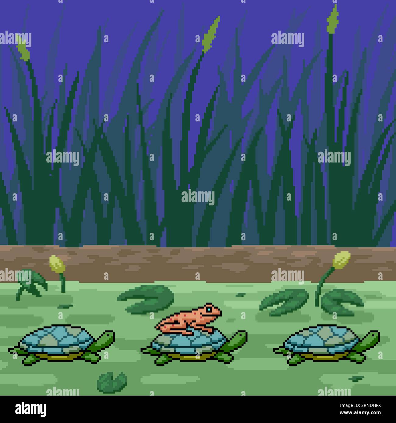 Shell and frog Stock Vector Images - Alamy