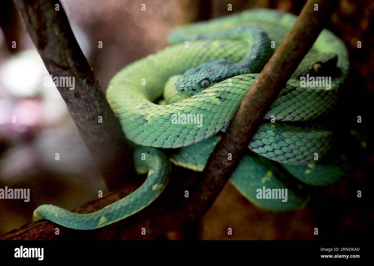 (160522) -- SAN JOSE, May 22, 2016 -- Photo taken on May 22, 2016 shows ...