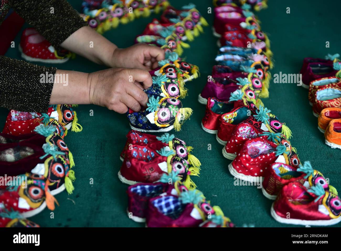 Quite tiger hi-res stock photography and images - Alamy