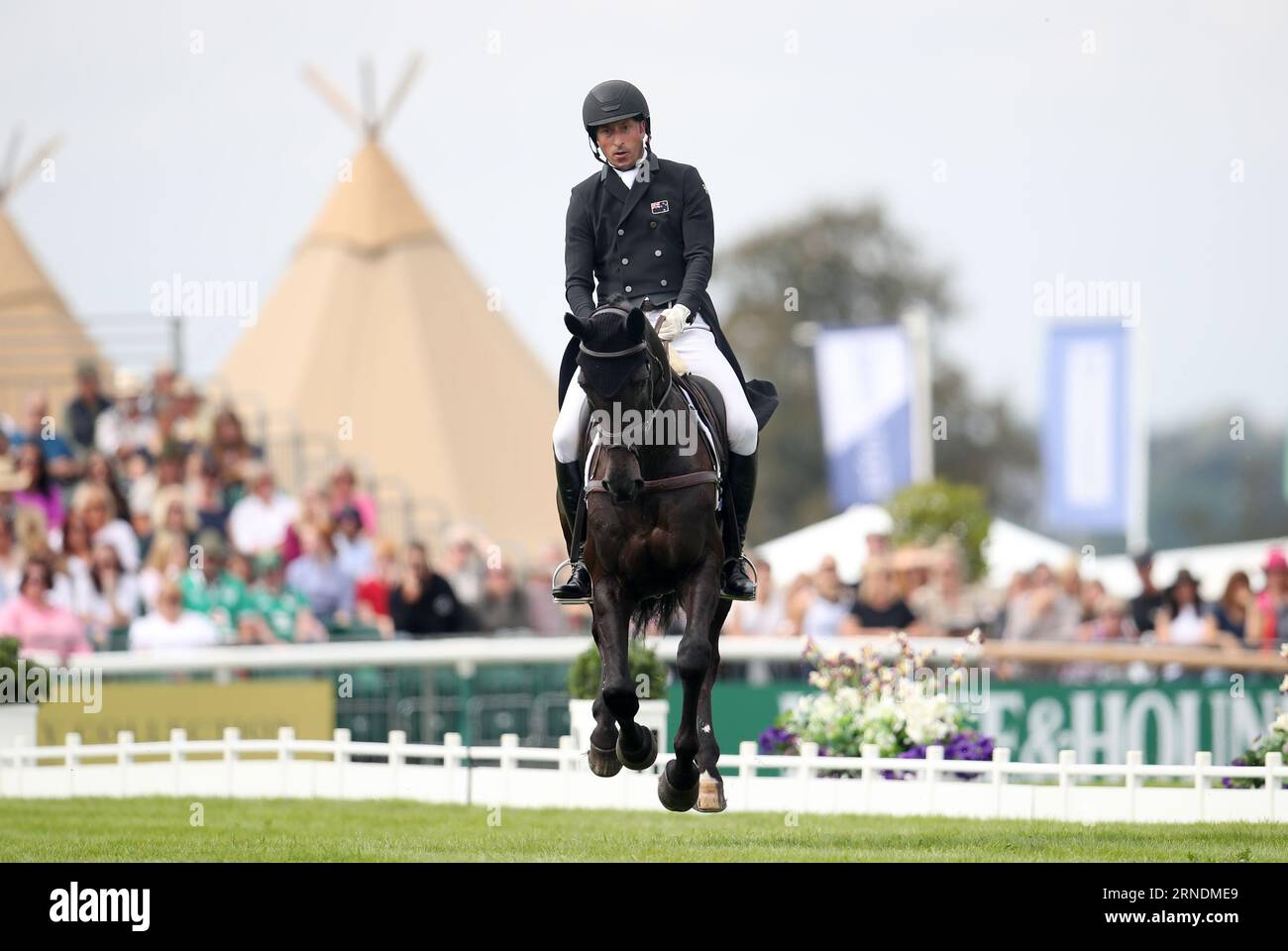 Tim price dressage hi-res stock photography and images - Alamy