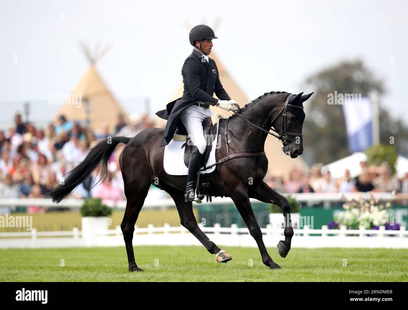 Tim price dressage hi-res stock photography and images - Alamy
