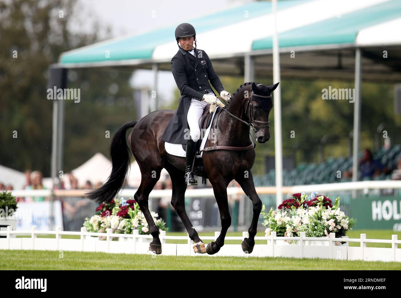 Tim price dressage hi-res stock photography and images - Alamy
