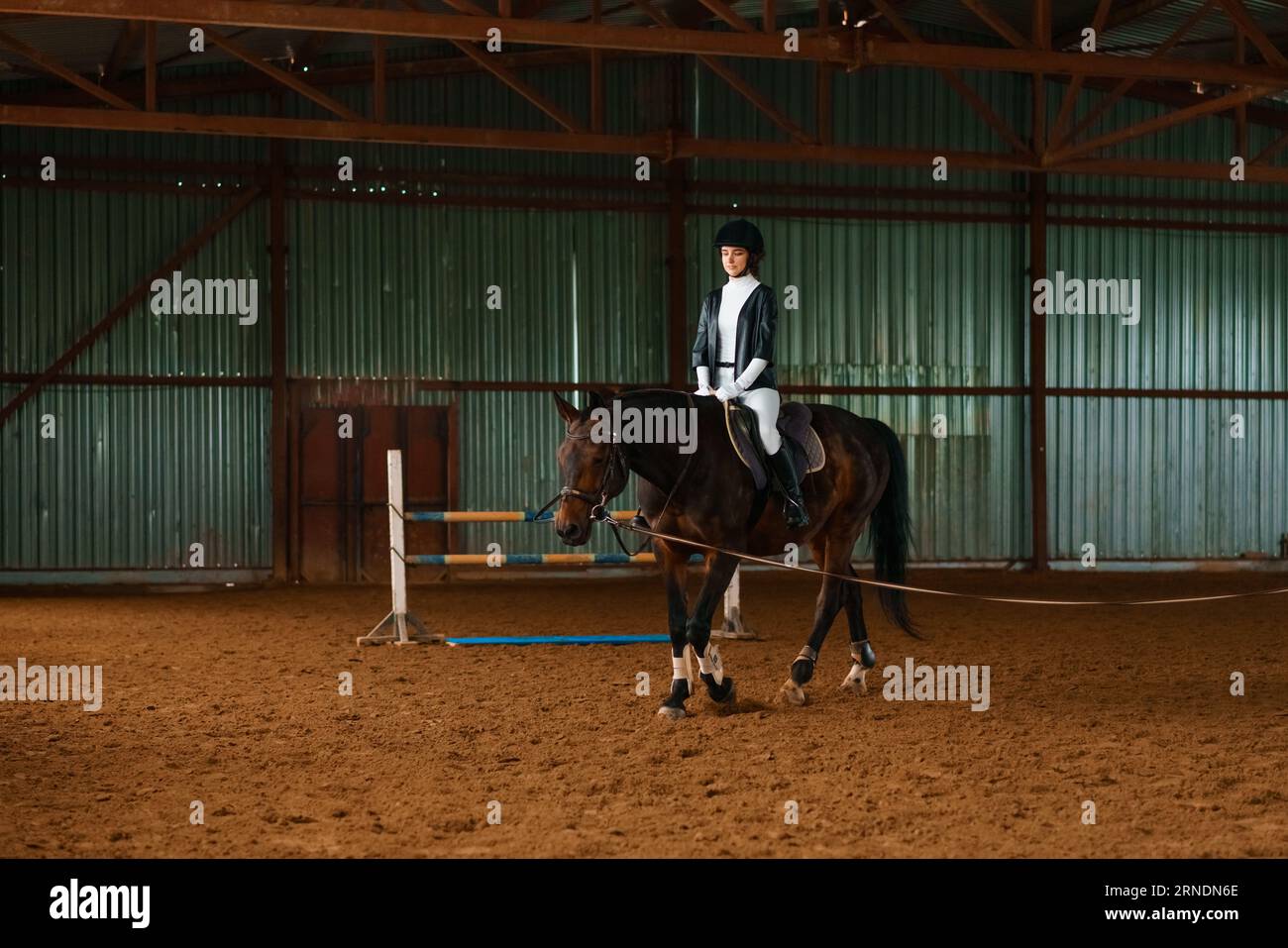 beautiful horse rider is training, equestrian sports Stock Photo - Alamy
