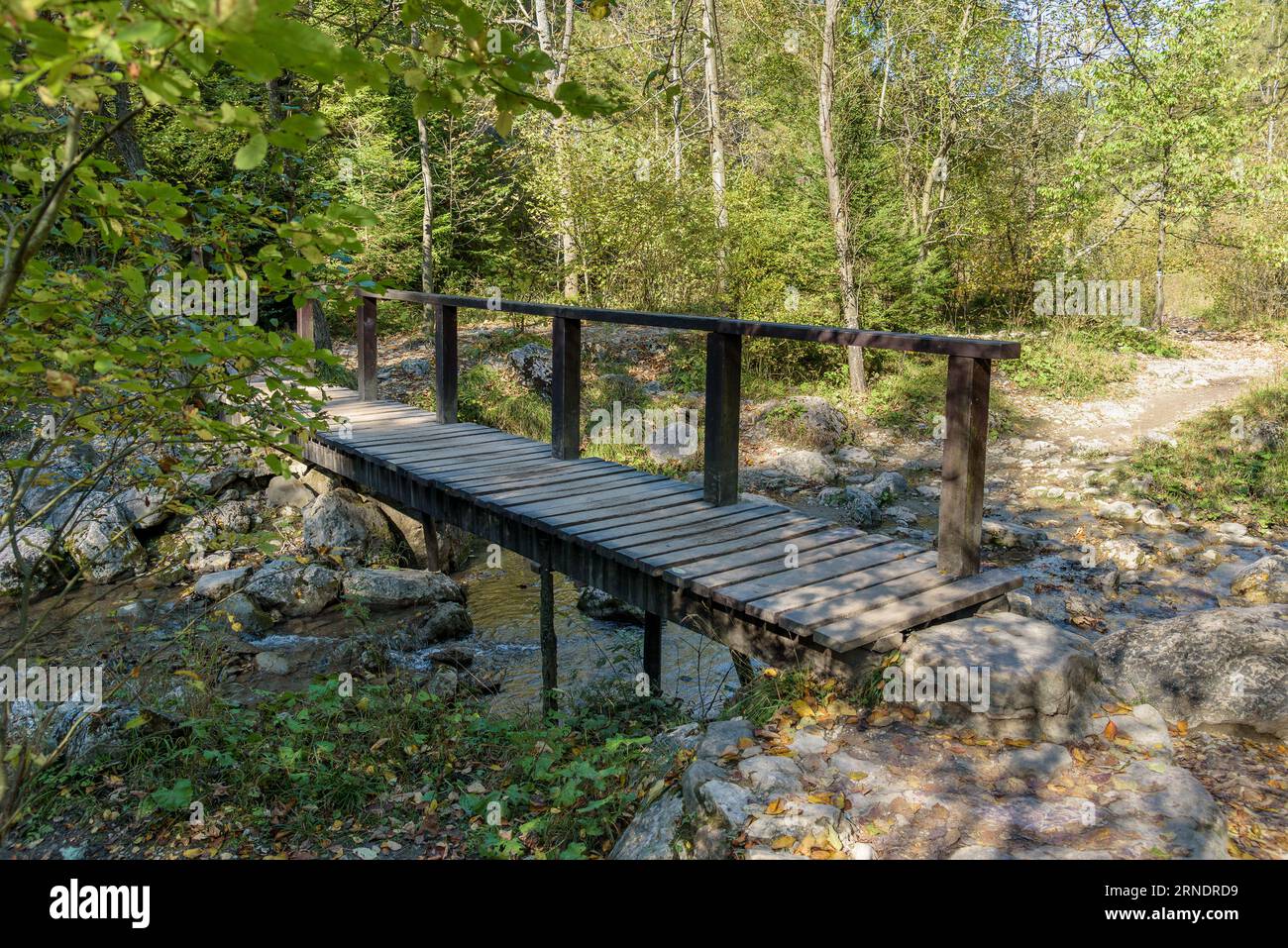 Wooden bridge in Homole Ravine in Pieniny mountains in southern Poland ...